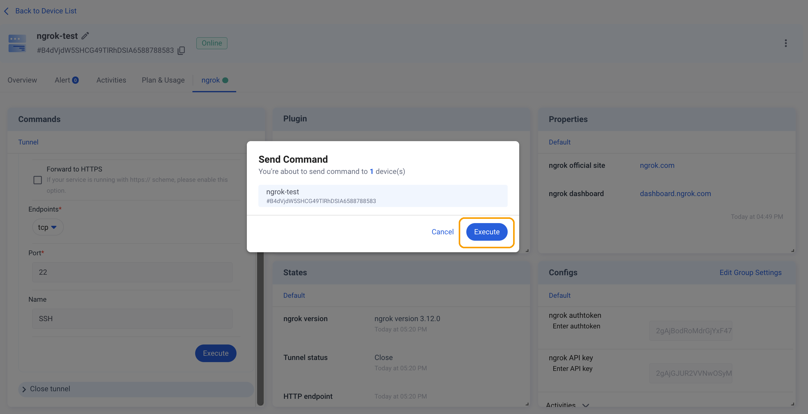 How to Use ngrok Plugin